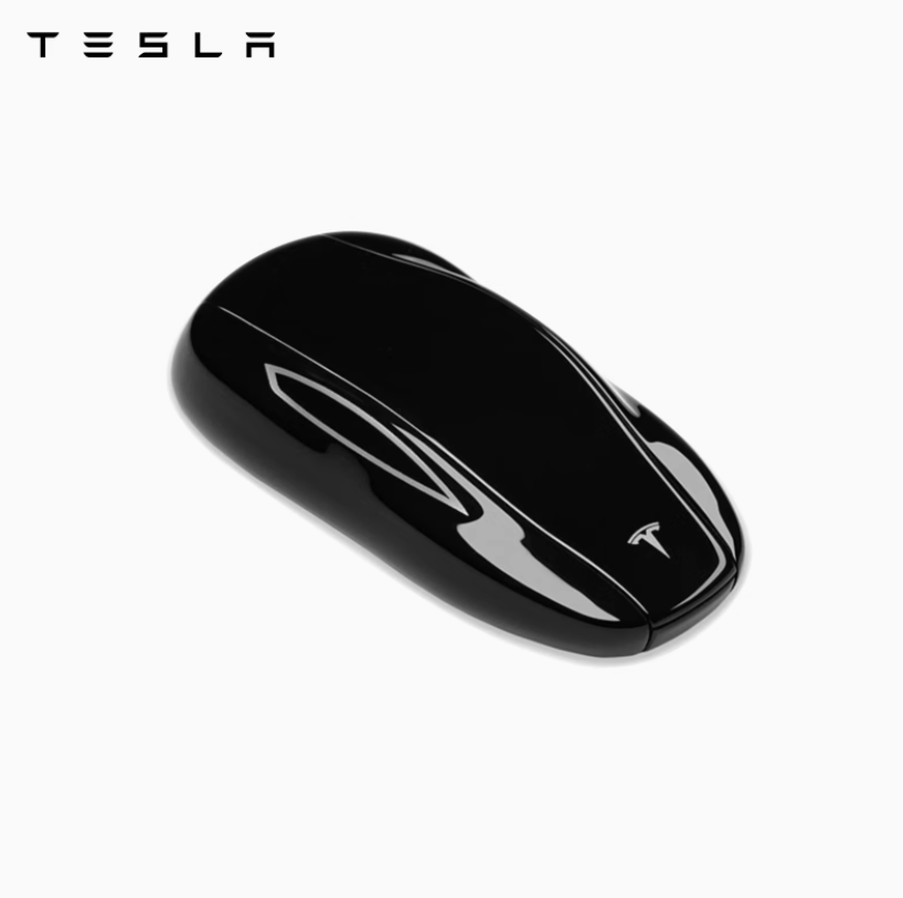 Tesla Official Smart Remote Control Car Key Fob – MIKSTORE